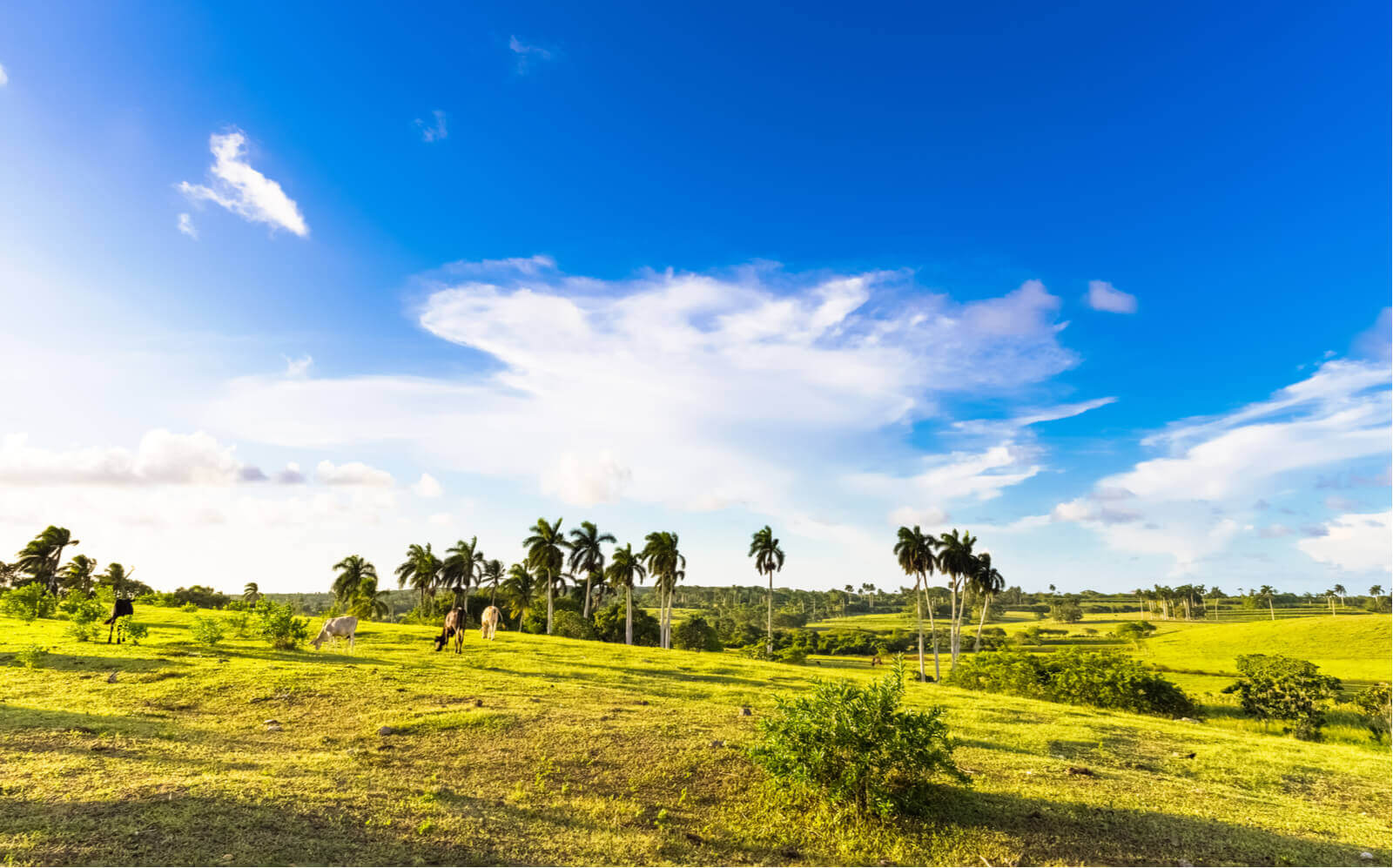 Magisch Cuba - Rondreis Cuba 21 dagen - CubaNeo Travel